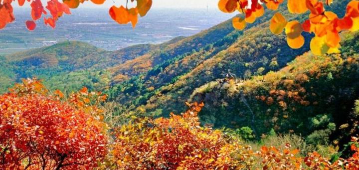 The 8 Most Breathtaking Fall Colour Viewing Spots in Beijing